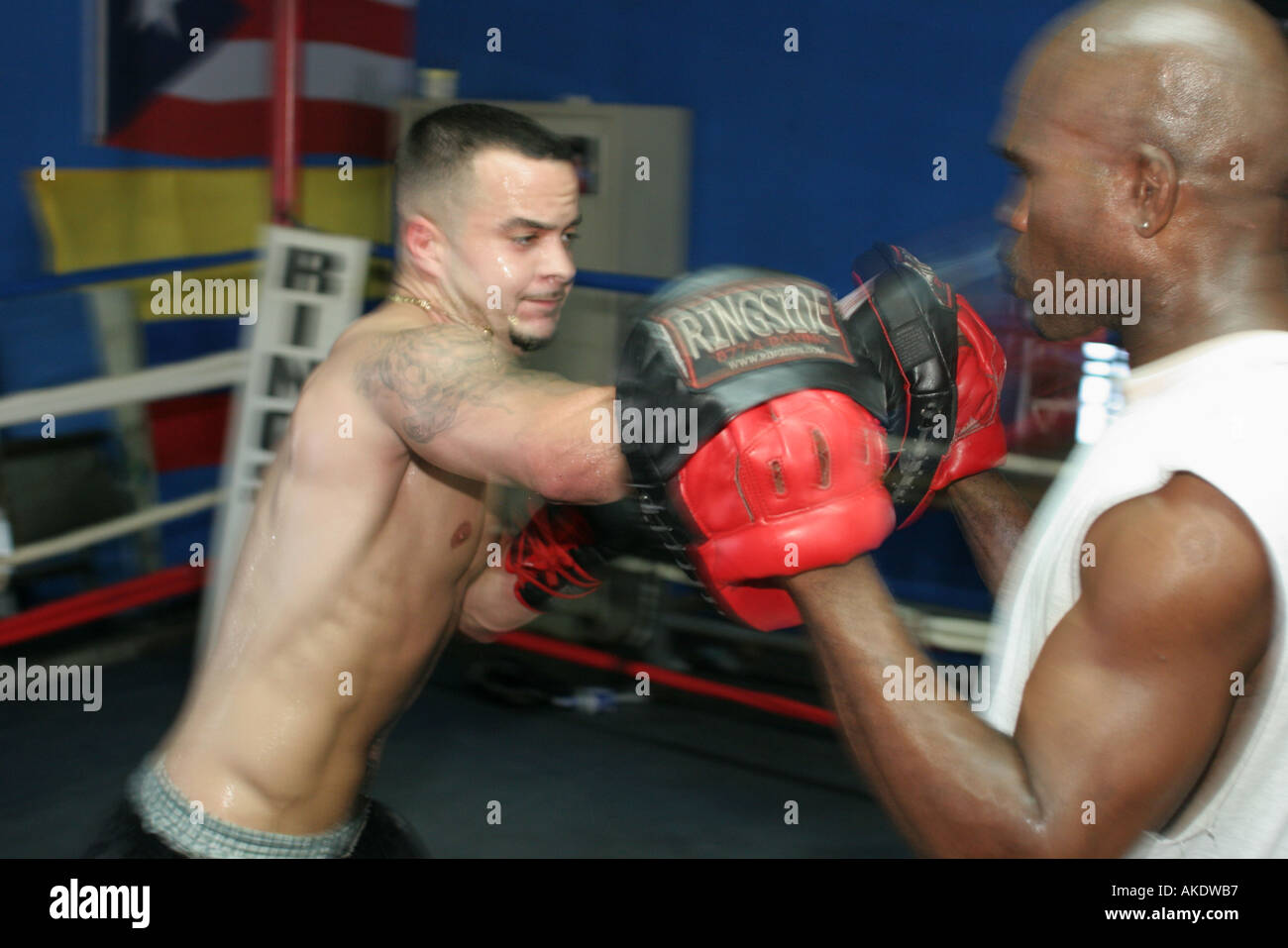 Allapattah little dominican republic hi-res stock photography and ...