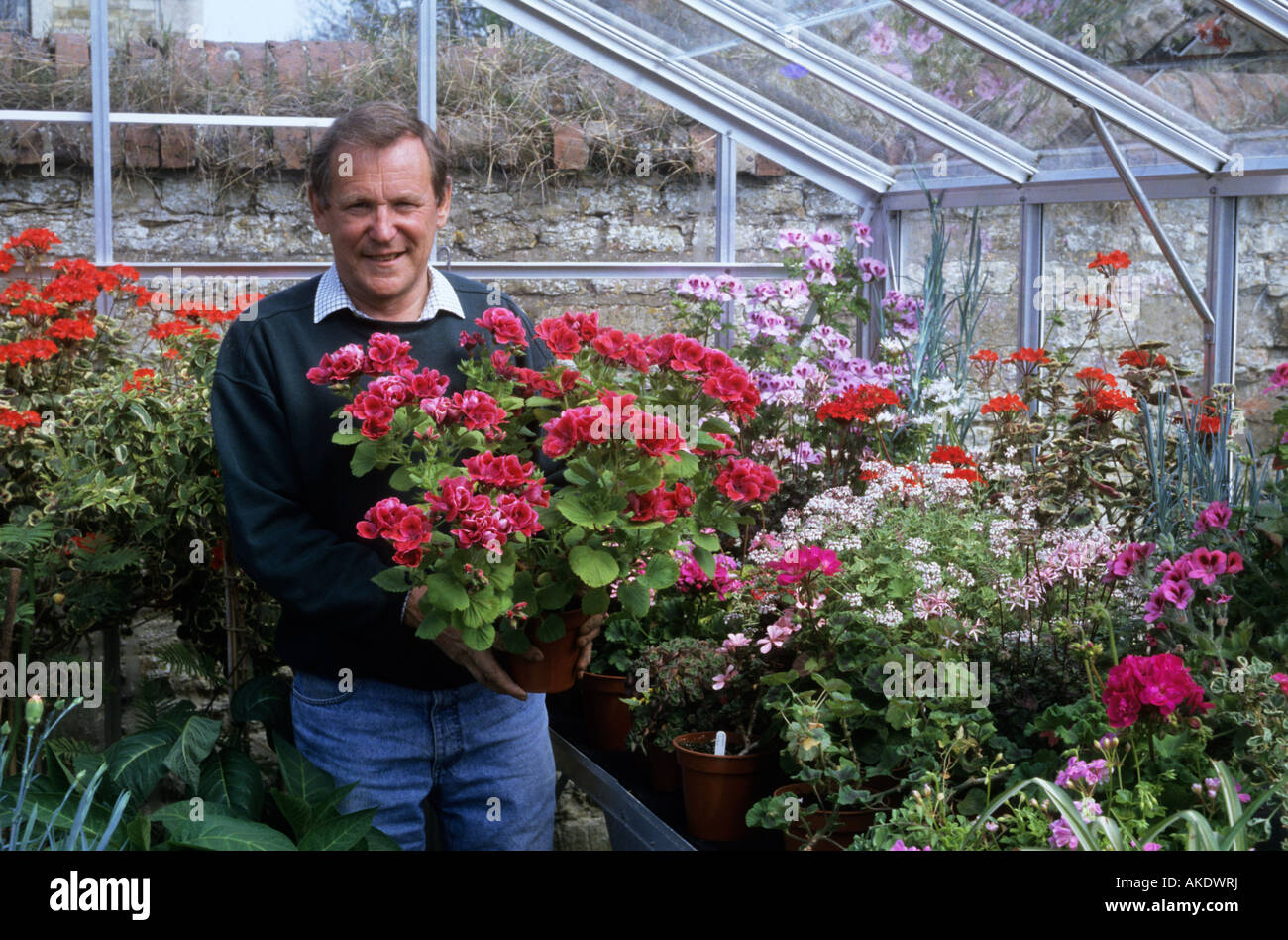 Geoff Hamilton in his glasshouse at Barnsdale Rutland Stock Photo - Alamy