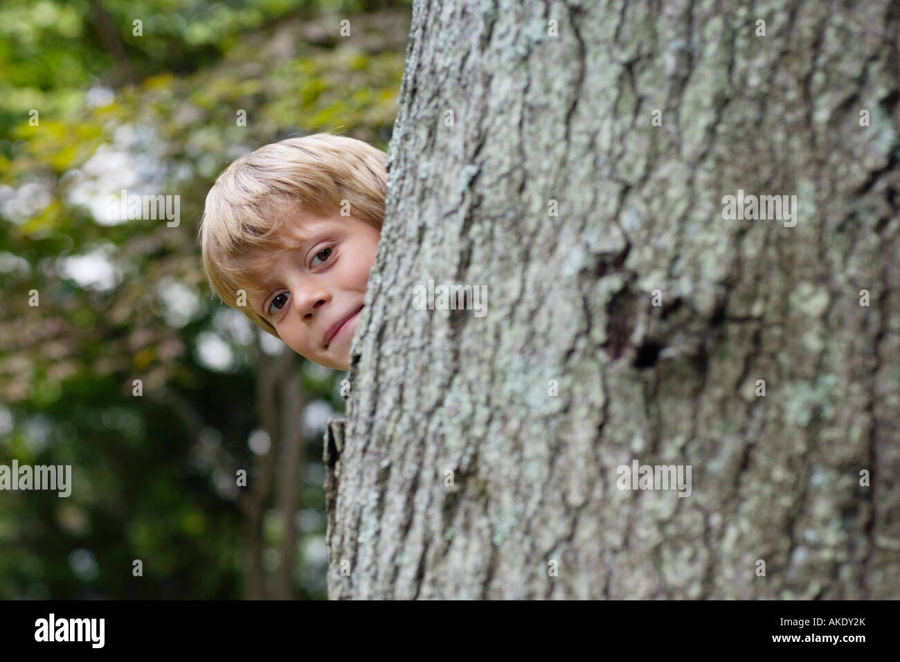 Portrait of boy (5-6) peeking from behind tree, smiling Stock Photo - Alamy
