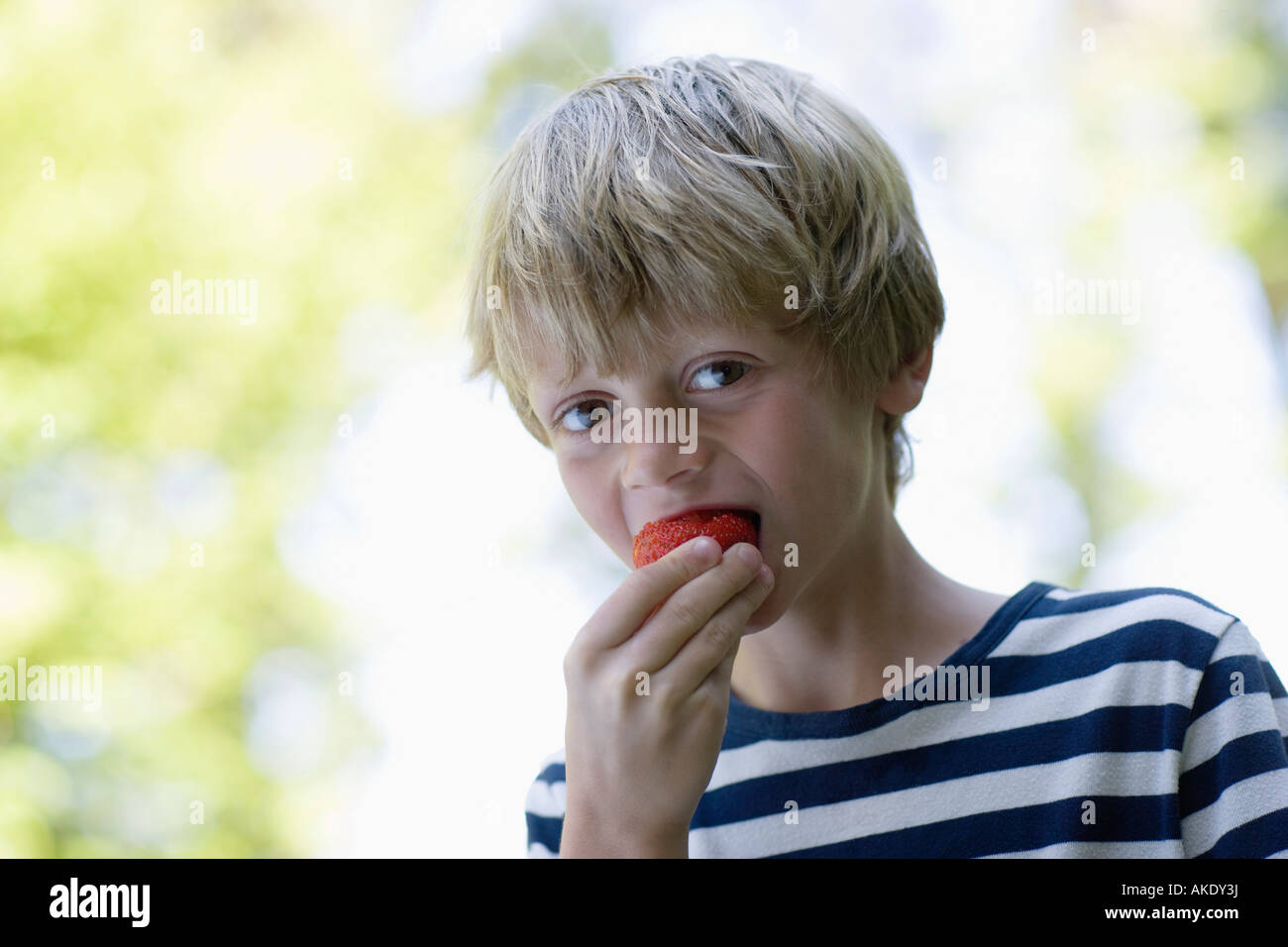 Strawberry Blonde Hair Blue Eyes Boy