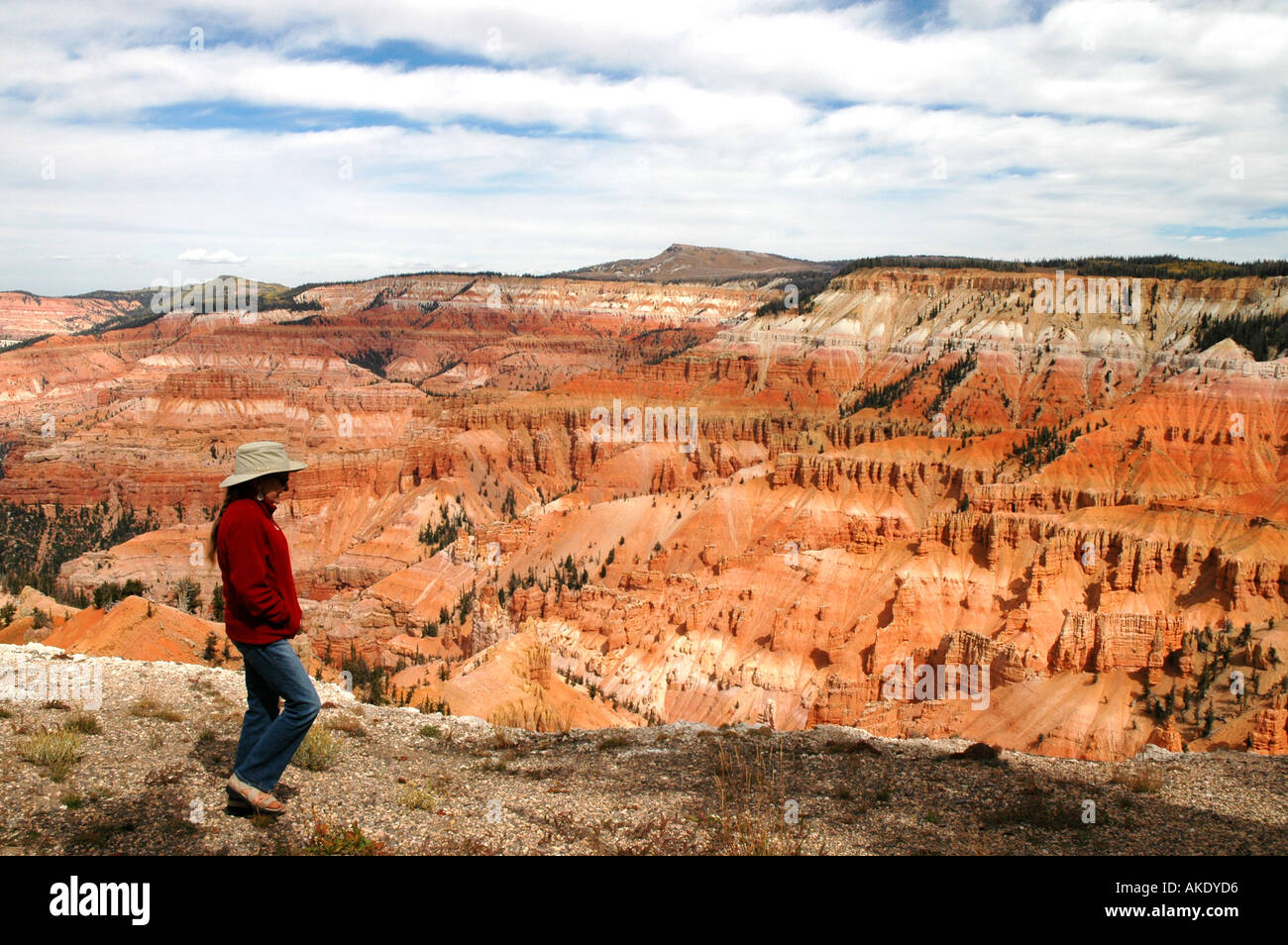 Utah Cedar Breaks National Monument The Amphitheater Stock Photo - Alamy