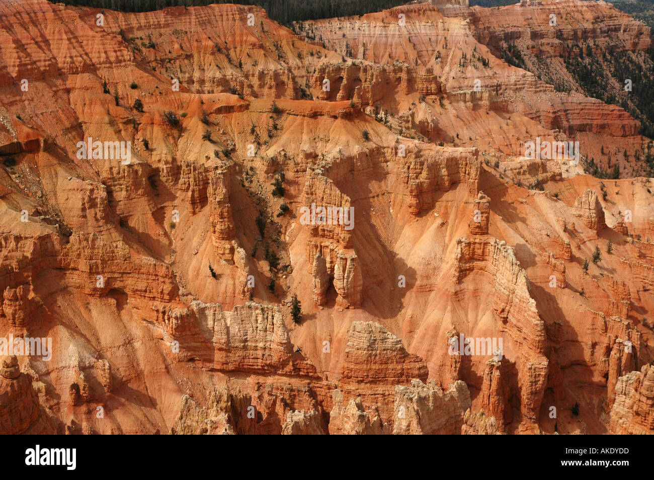 Utah Cedar Breaks National Monument The Amphitheater Stock Photo - Alamy
