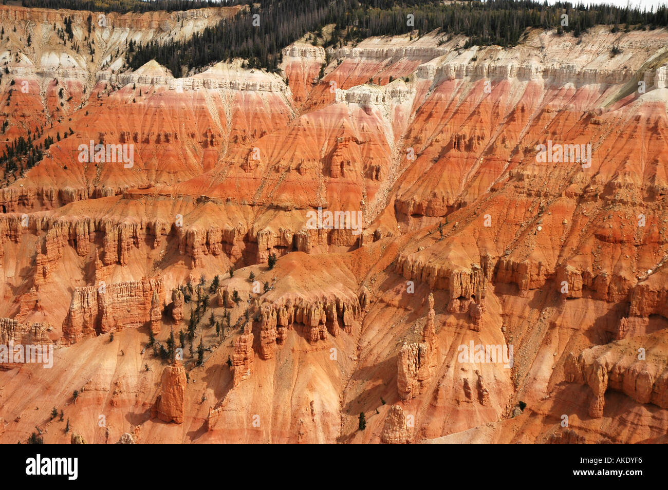 Utah Cedar Breaks National Monument The Amphitheater Stock Photo - Alamy