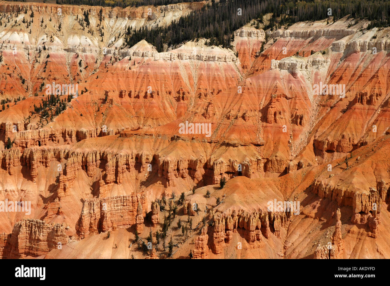 Utah Cedar Breaks National Monument The Amphitheater Stock Photo - Alamy