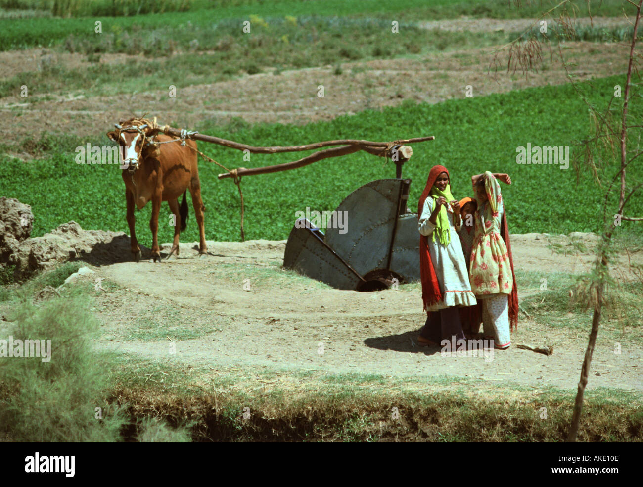 Ancient egypt water wheel hi-res stock photography and images - Alamy