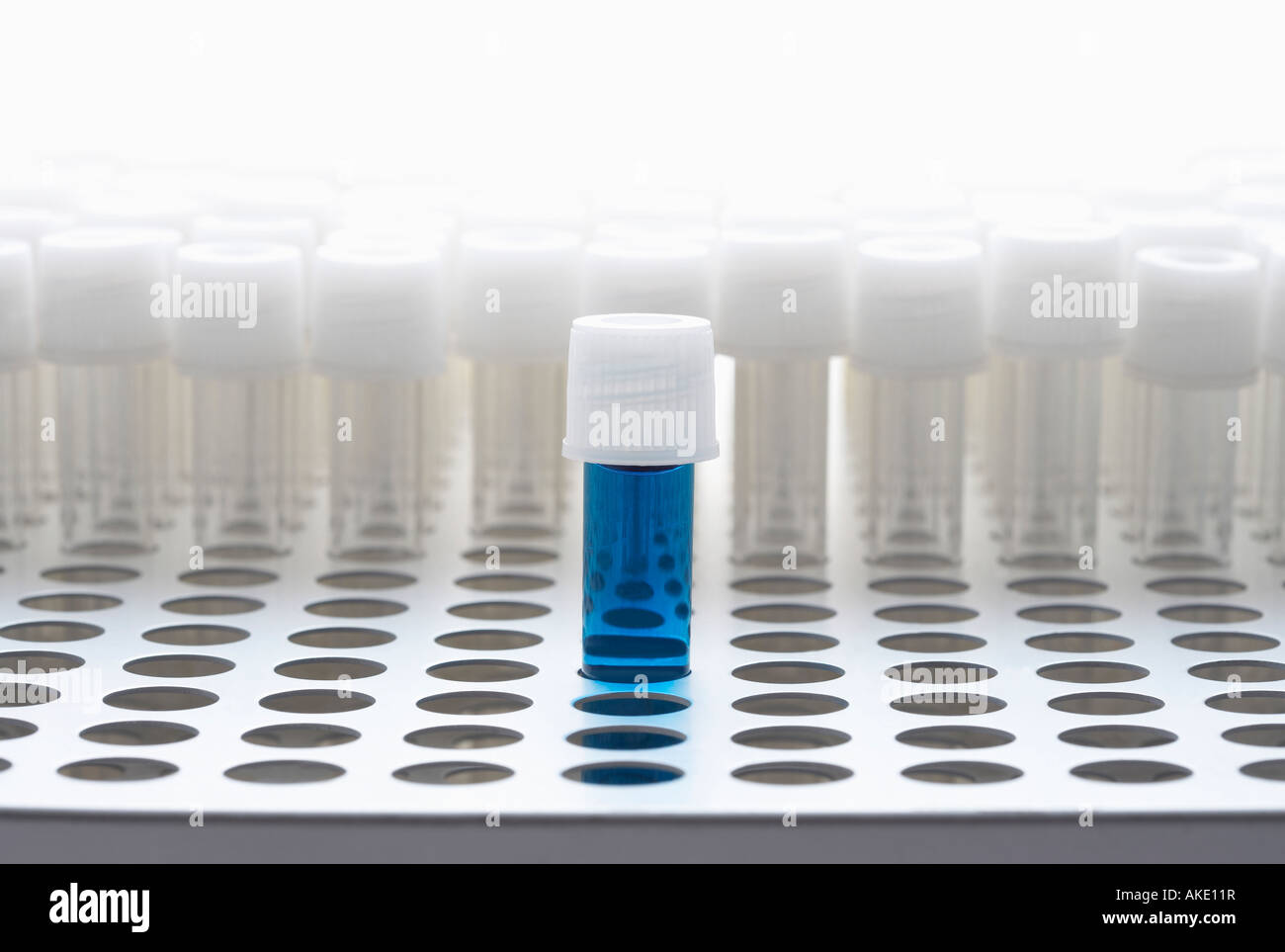 Blue test tube with empty test tubes Stock Photo - Alamy