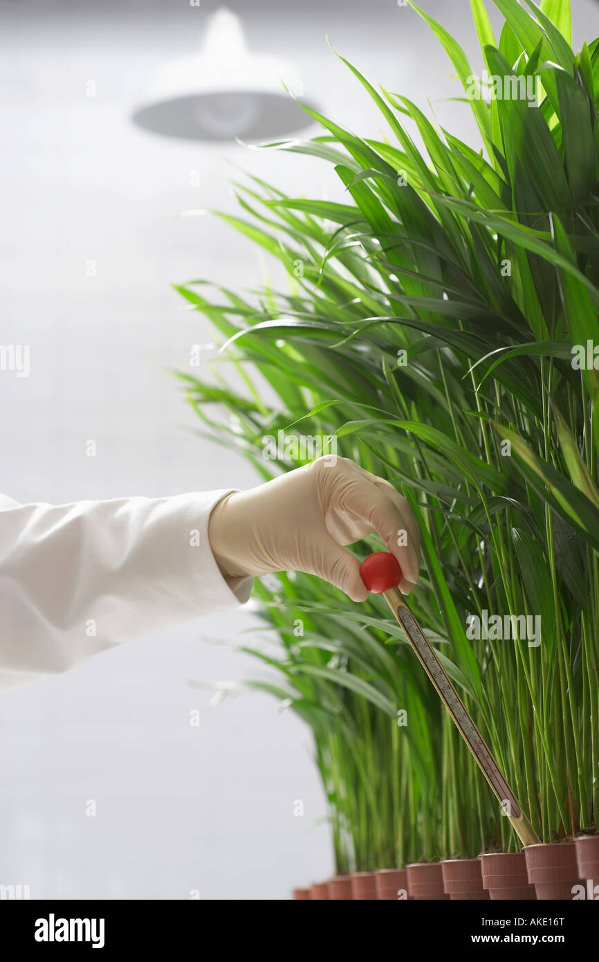 Test plants hi-res stock photography and images - Alamy