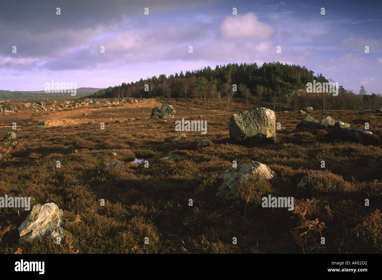 ENGLAND Northumberland Rothbury The open moorland of the Rothbury ...