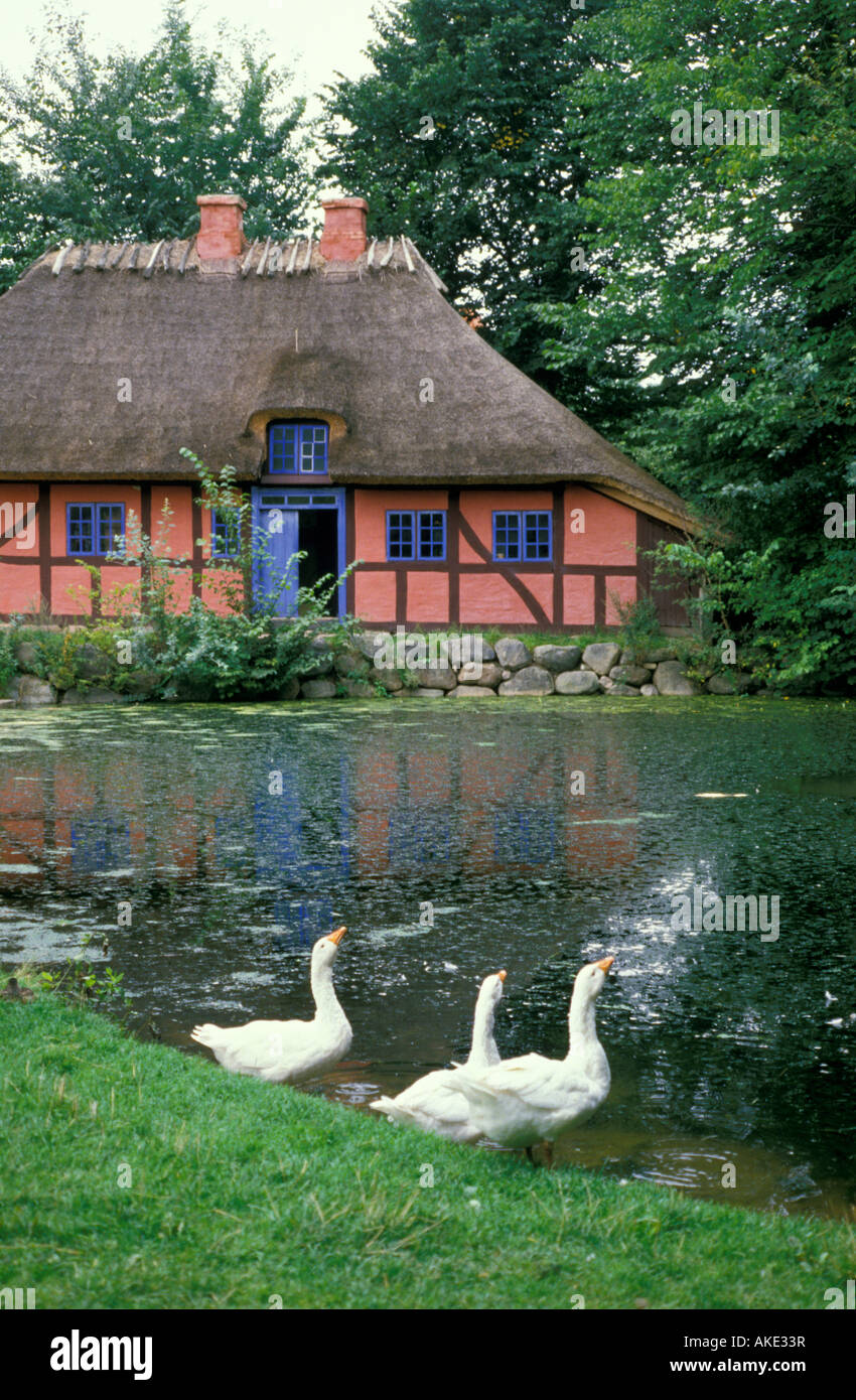 house at the folklore museum, copenaghen, denmark Stock Photo - Alamy
