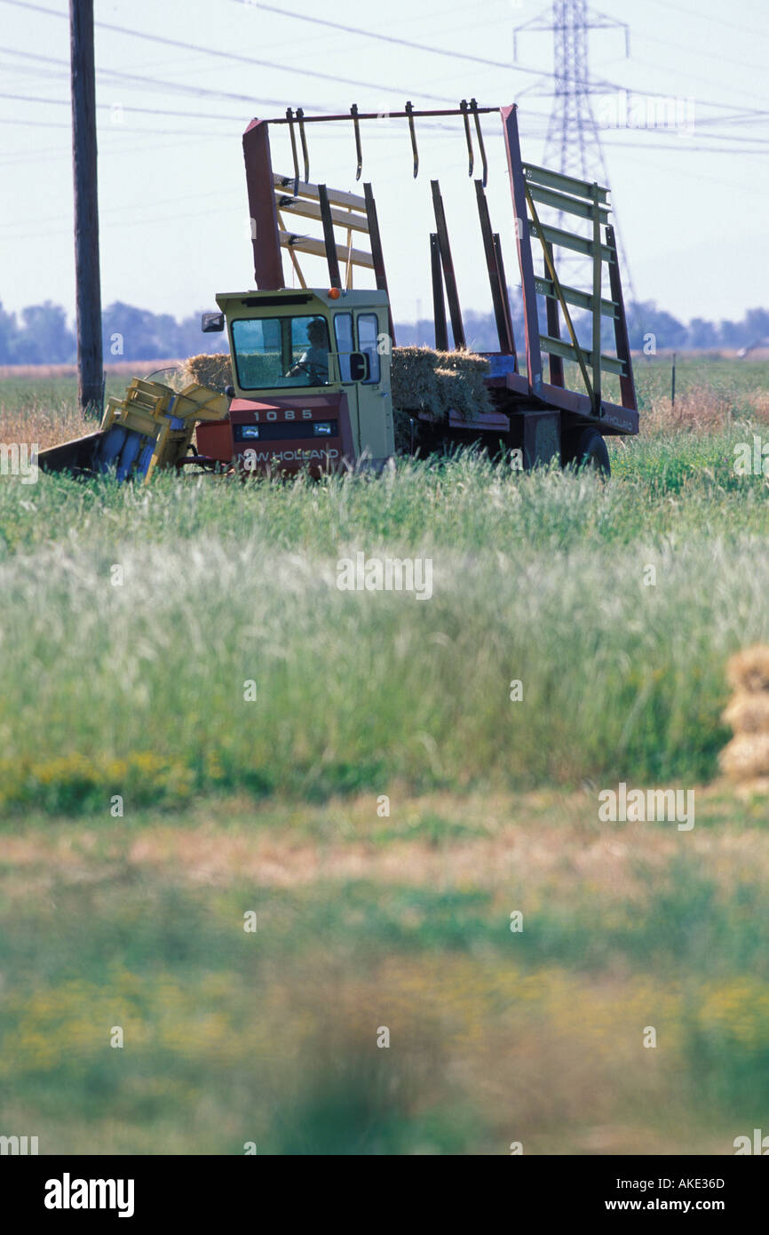 Hay stacker hi-res stock photography and images - Alamy