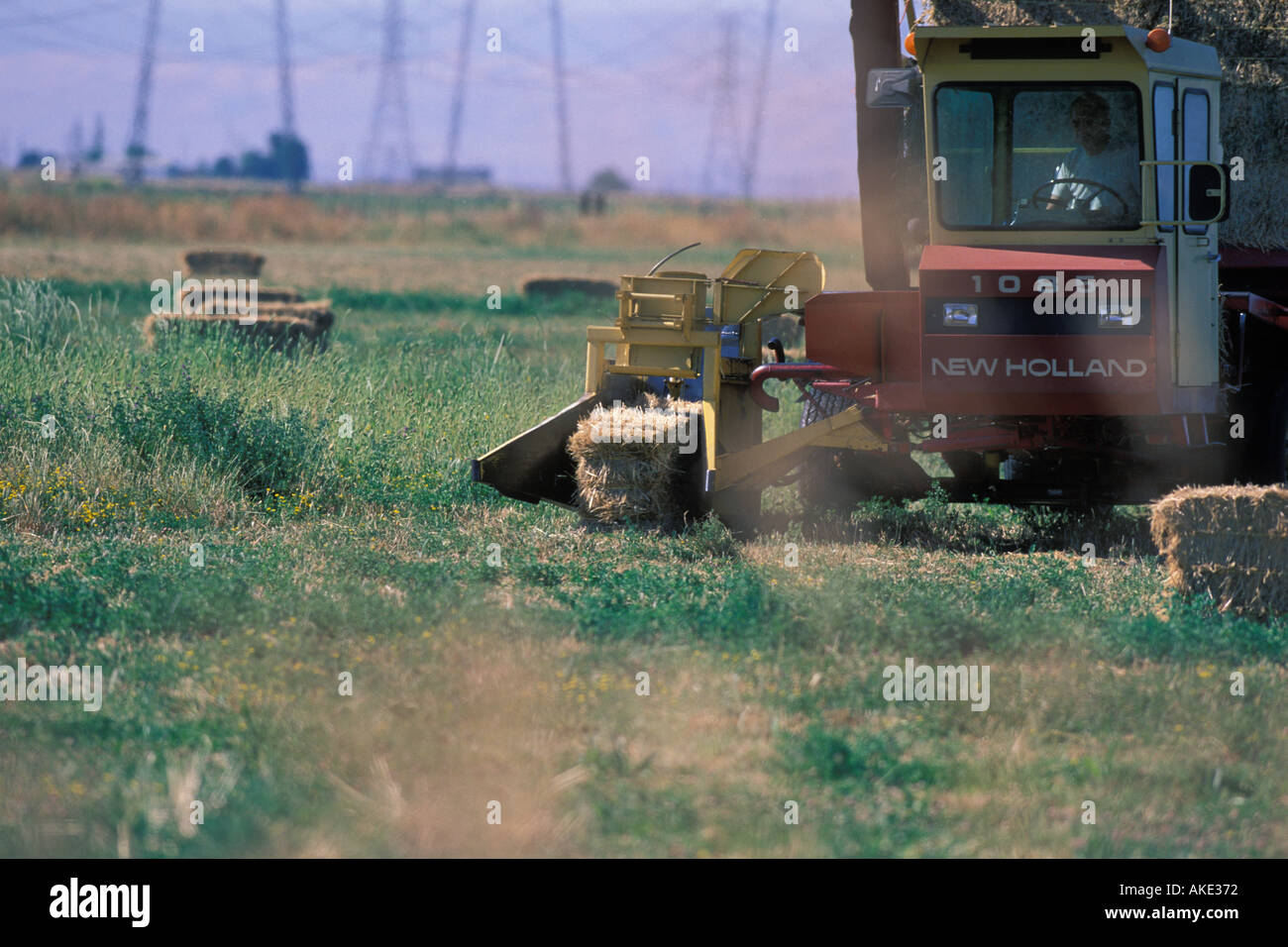 Farmer collecting hay bales with automatic bale stacker Stock Photo - Alamy