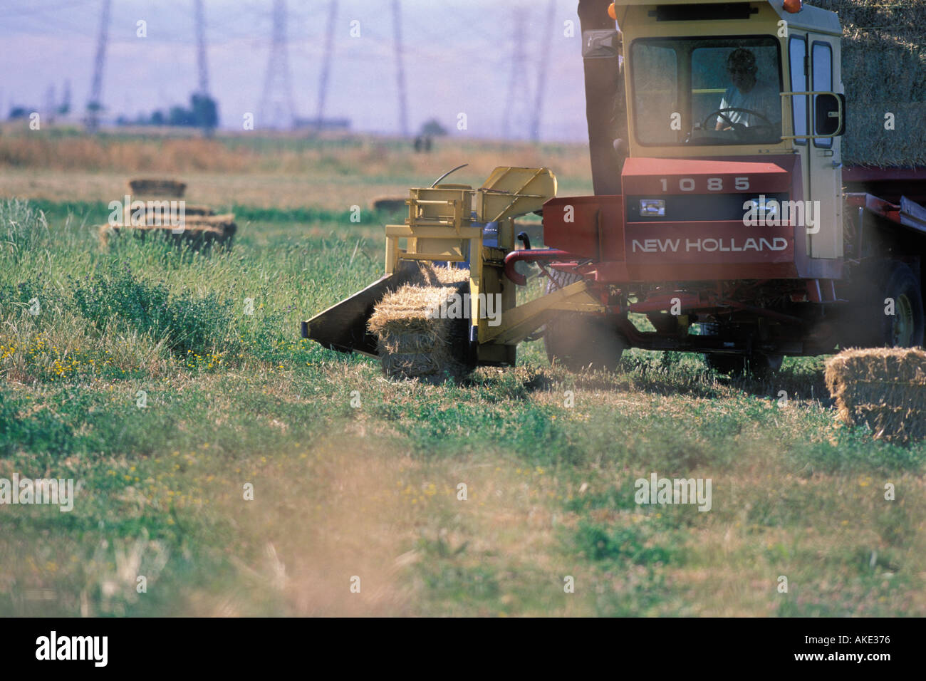 Farmer collecting hay bales with automatic bale stacker Stock Photo - Alamy