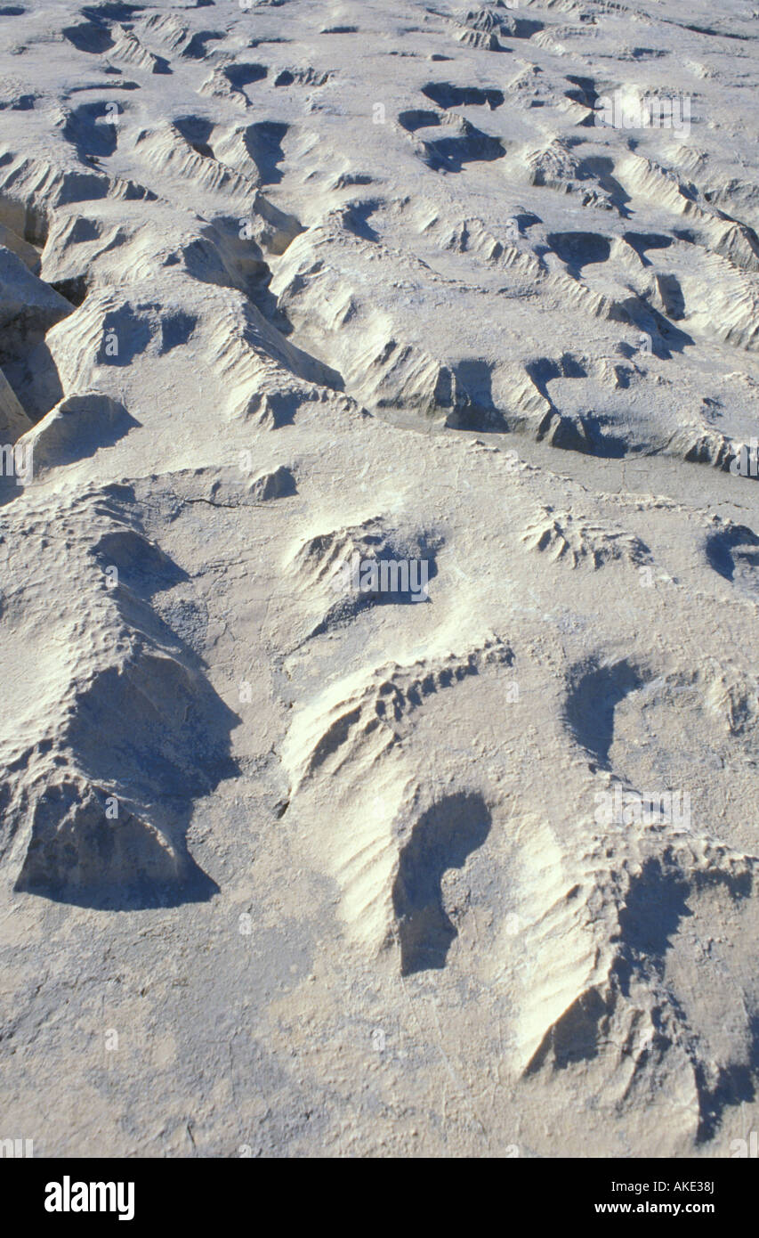 Calcareous rocks detail hi-res stock photography and images - Alamy