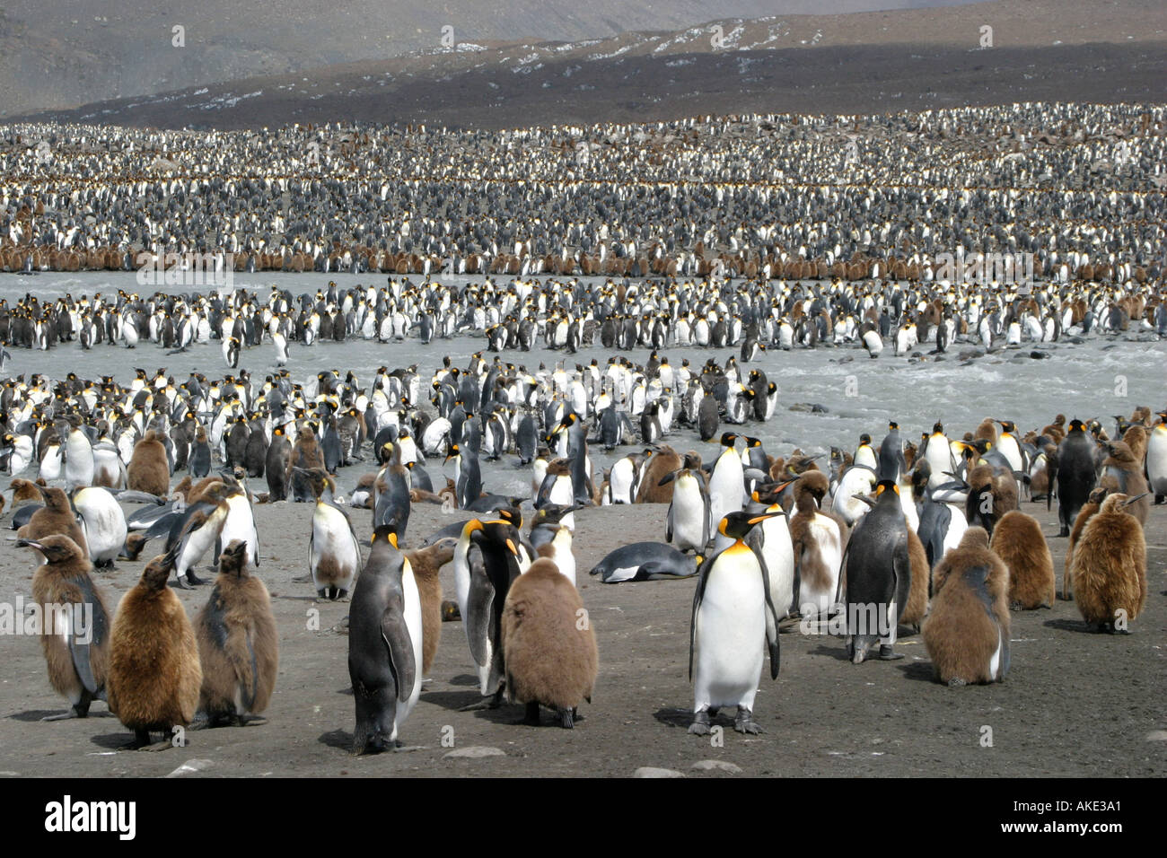 World largest icebreaker hi-res stock photography and images - Alamy