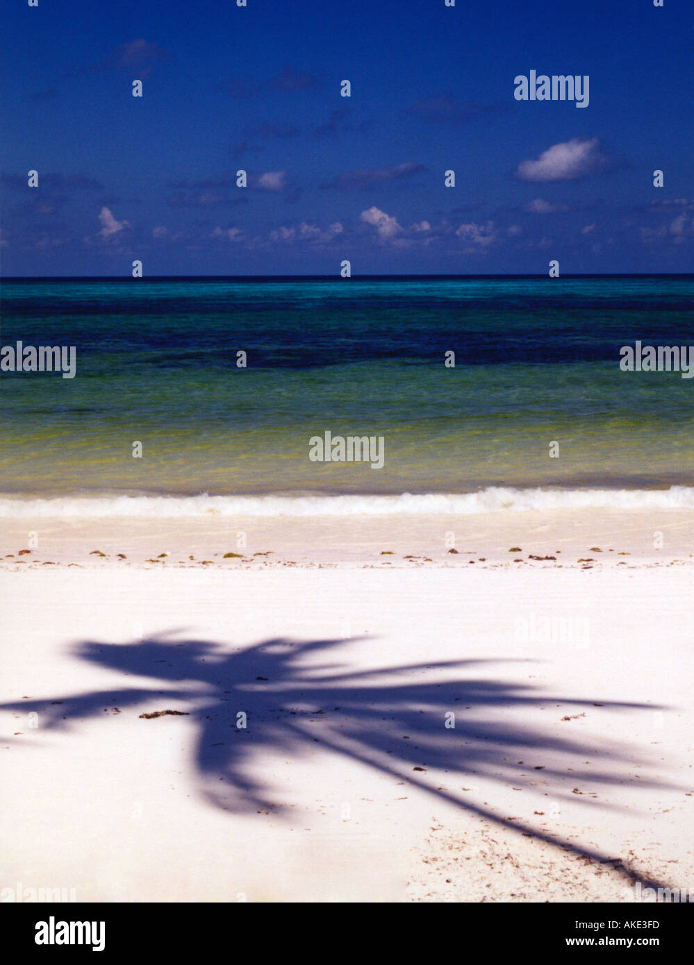 Bwejuu beach zanzibar hi-res stock photography and images - Alamy
