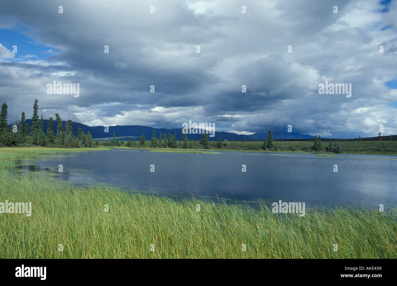 Teklanika river hi-res stock photography and images - Alamy