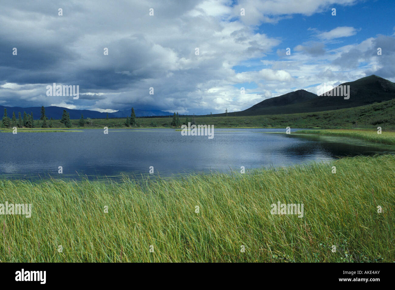 lake along the klondike highway, carcross, canada Stock Photo - Alamy