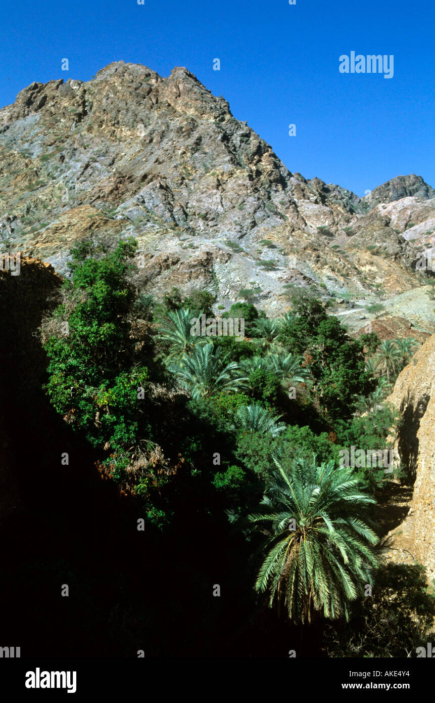 United arab emirates fujairah wadi hi-res stock photography and images ...