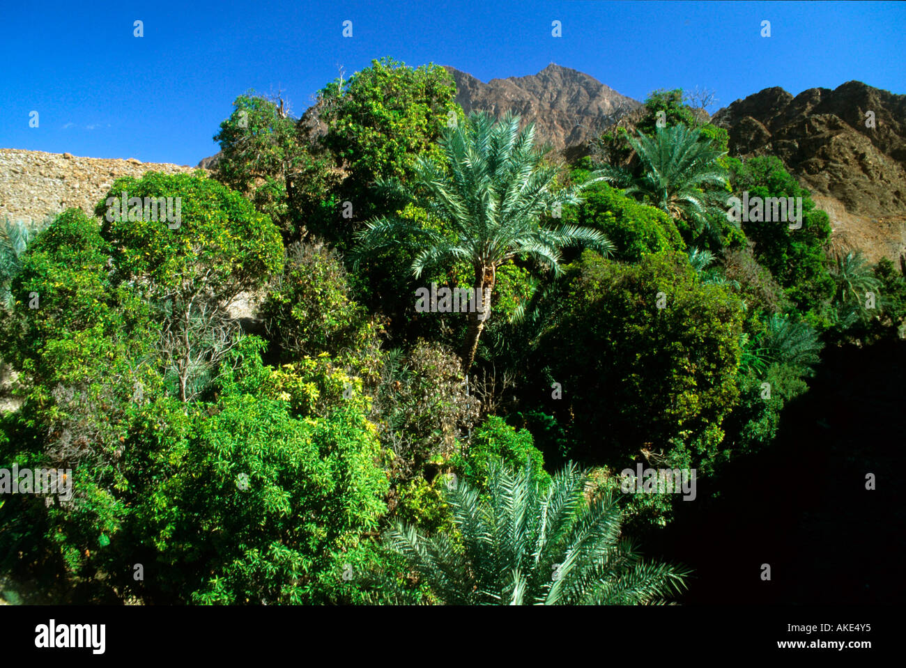 United arab emirates fujairah wadi hi-res stock photography and images ...