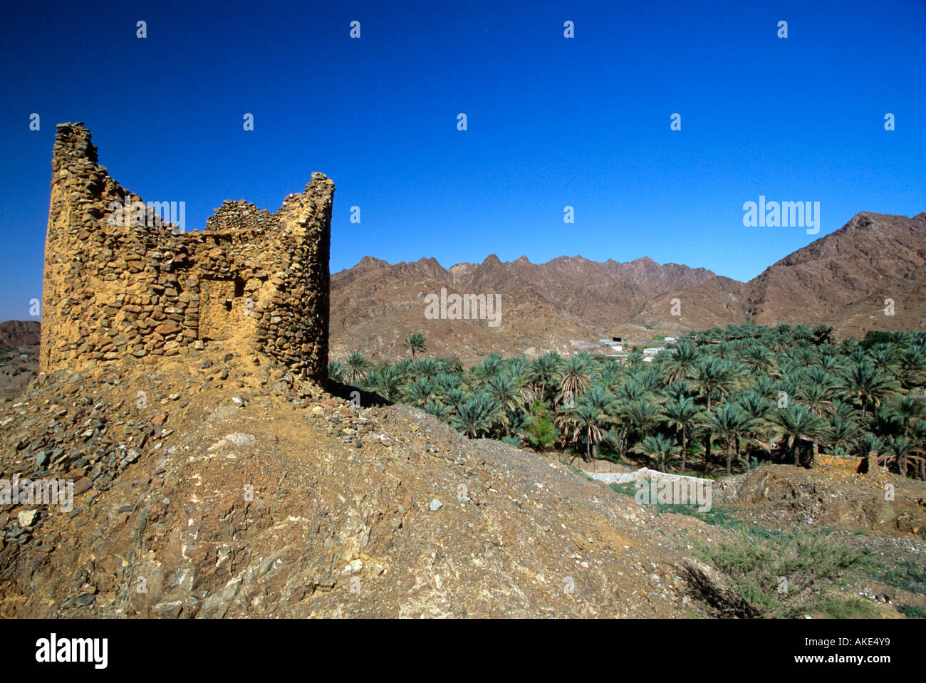 Masafi hi-res stock photography and images - Alamy