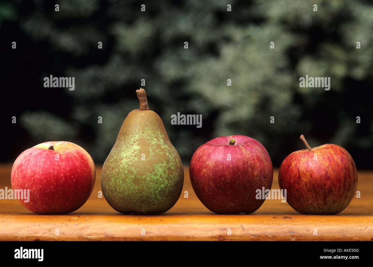 apples and pear in a row Stock Photo - Alamy