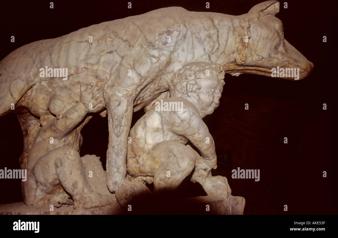 Wolf and Kids Siena 1 Stock Photo - Alamy