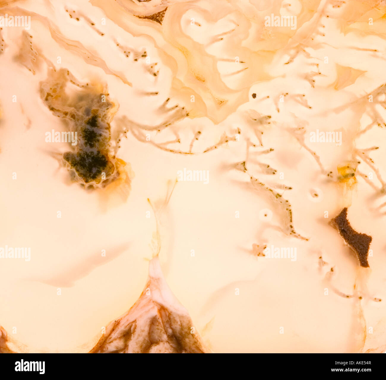 Close up of cut section of stone showing patterns and abstractions ...