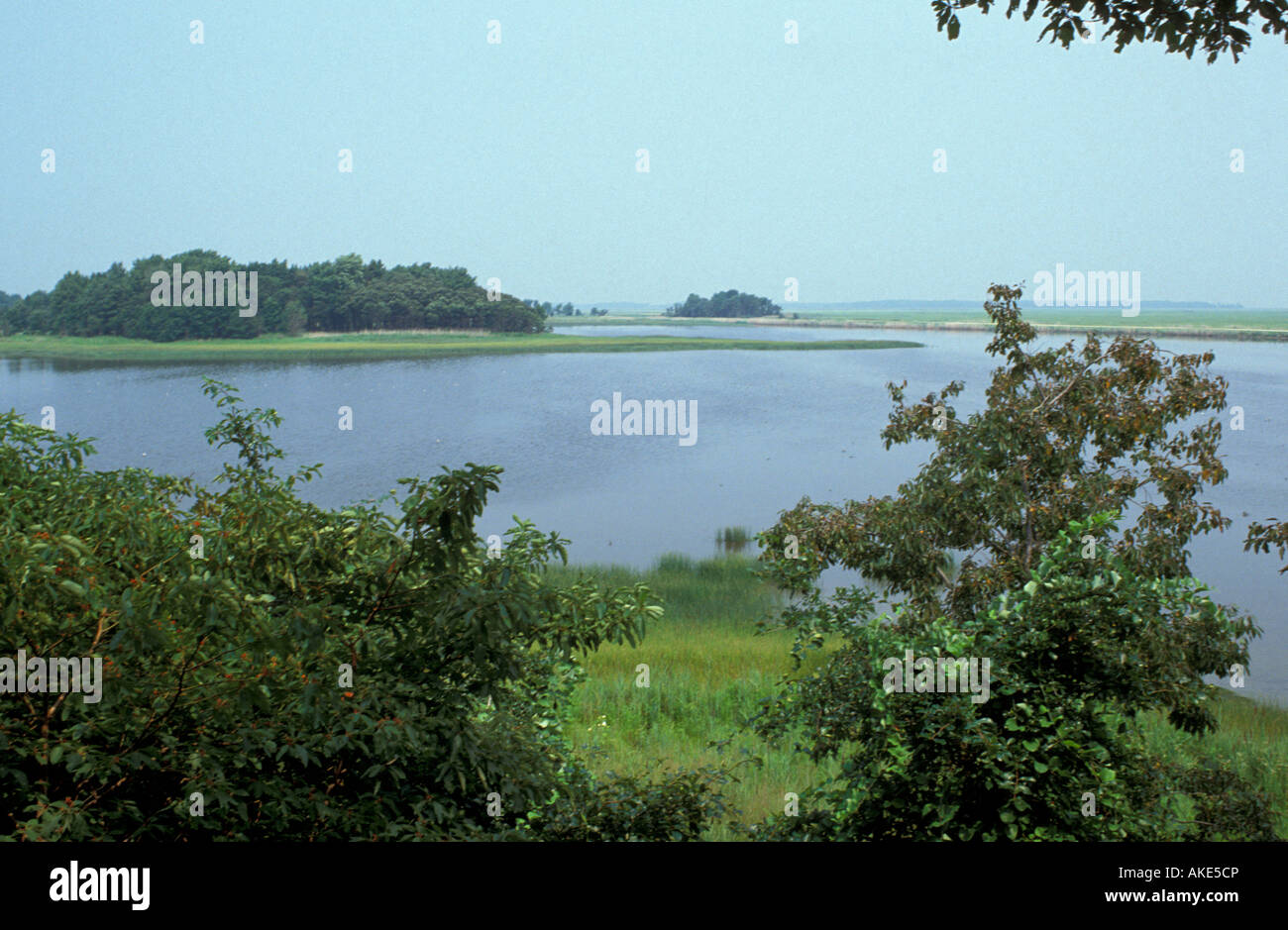 bombay hook national wildlife refuge, bombay hook n.w.r., usa Stock ...