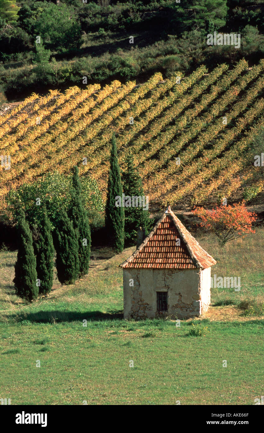 Saint chinian hi-res stock photography and images - Alamy