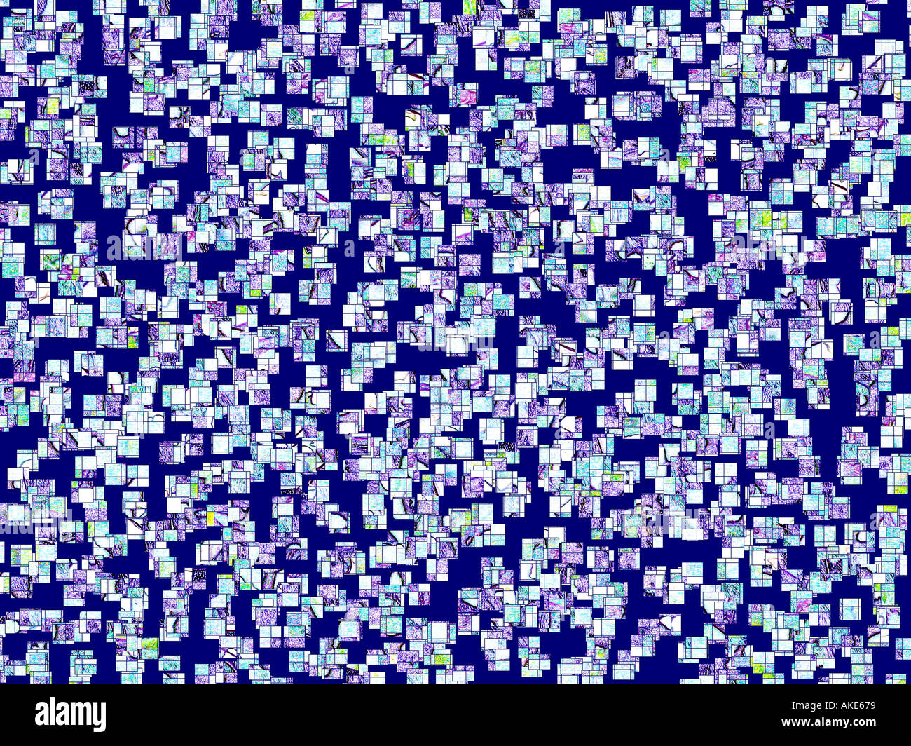 Butterfly Windows Stock Photo - Alamy