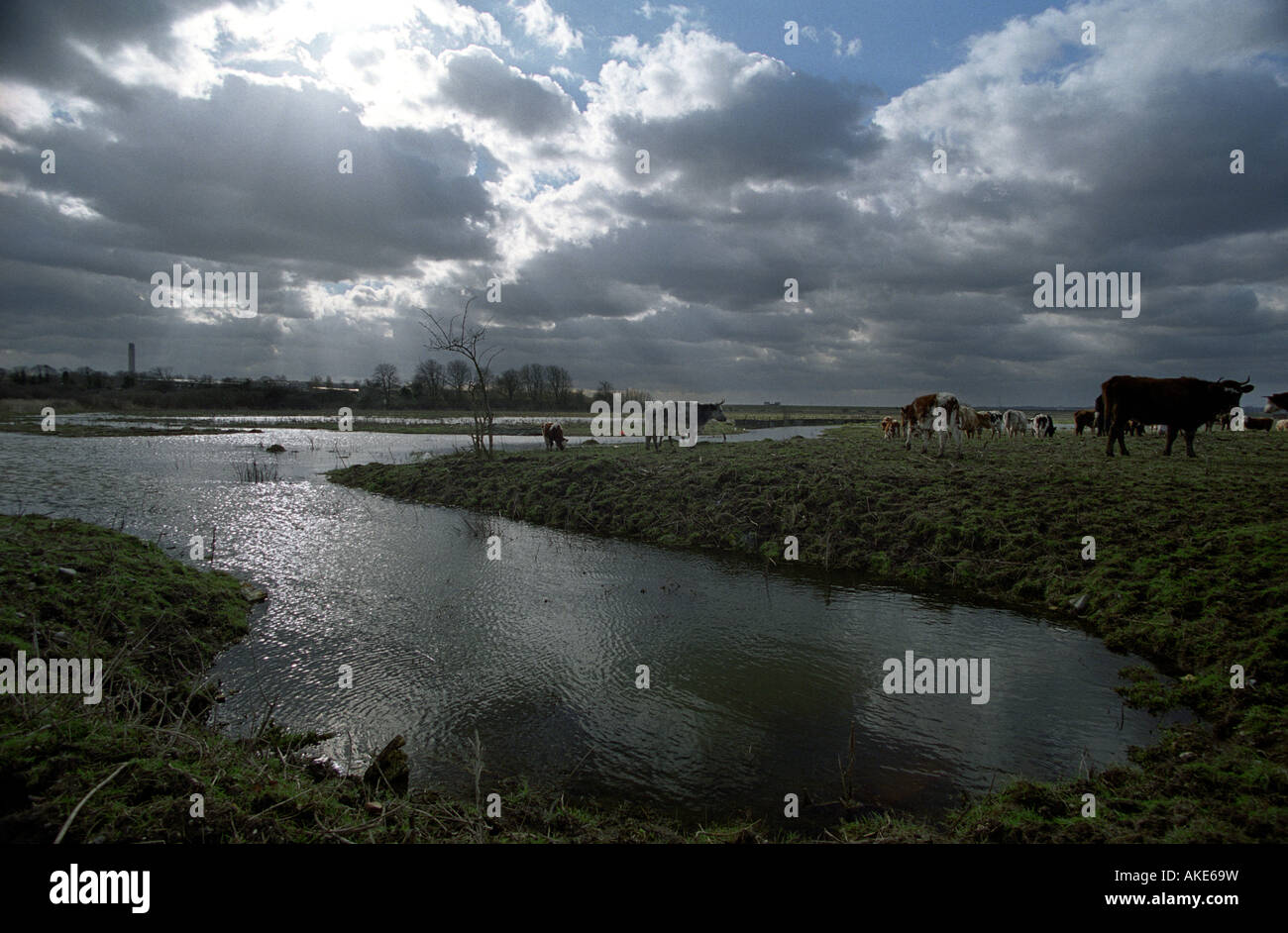 RAINHAM MARSHES RSPB RESERVE EAST LONDON UK 2007 Stock Photo - Alamy