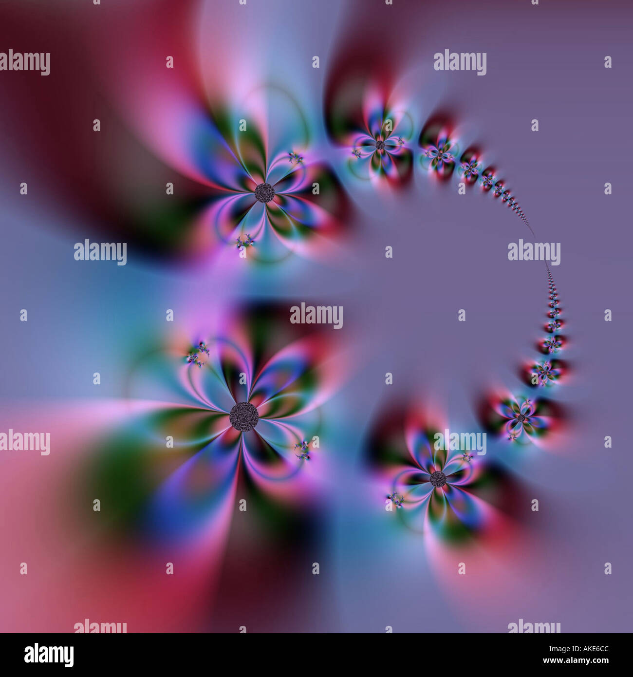 Pink flower Circle Stock Photo - Alamy