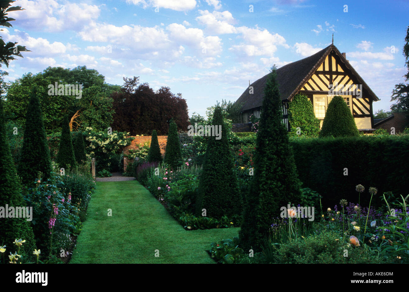 Wollerton Old Hall Shropshire grass path lined with yew topiary ...