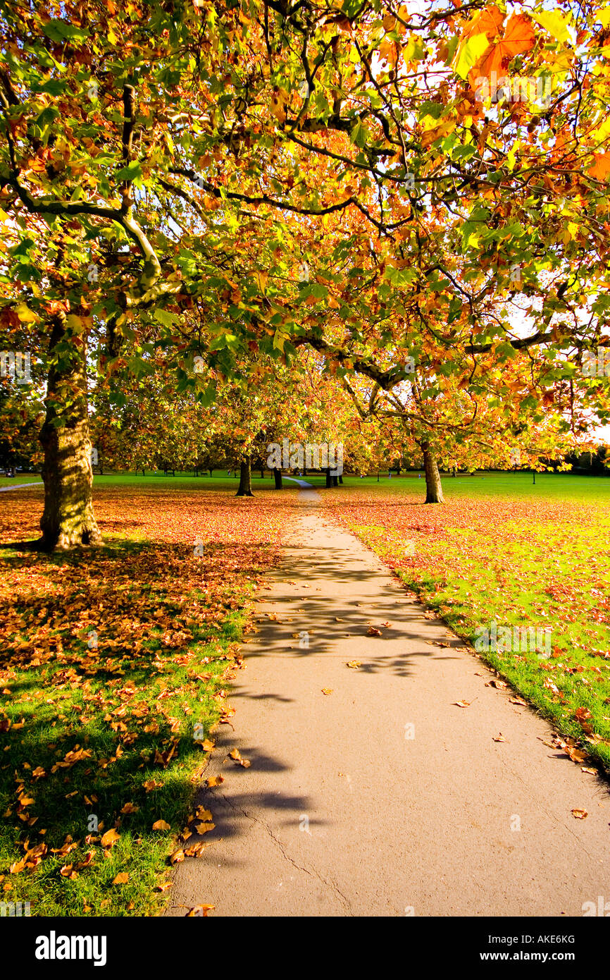 Pathway down from Primrose Hill during autumn, London, England UK Stock ...