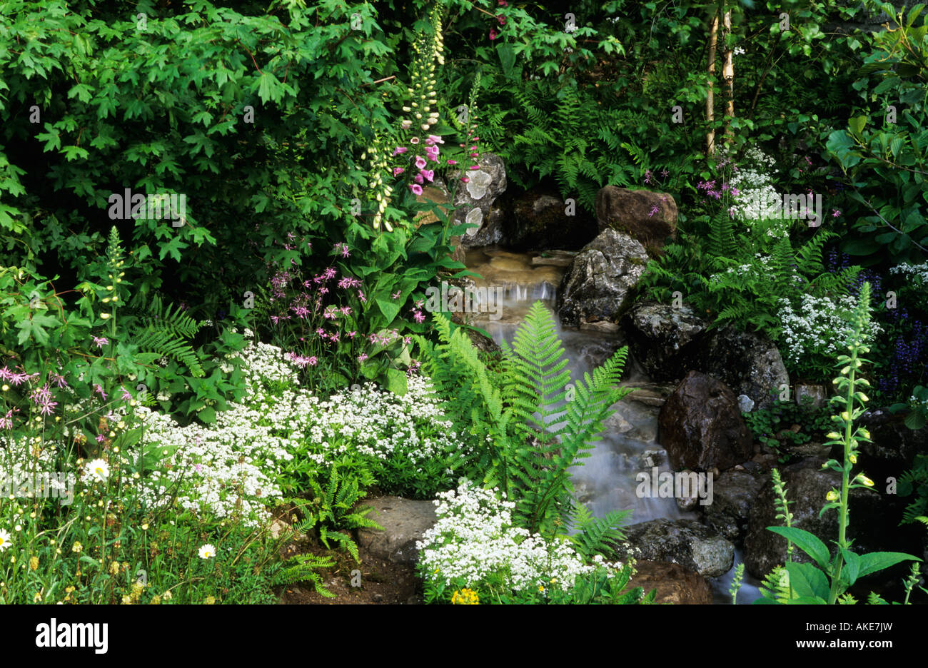 water cascade in wild flower garden design Julian Dowle Stock Photo - Alamy
