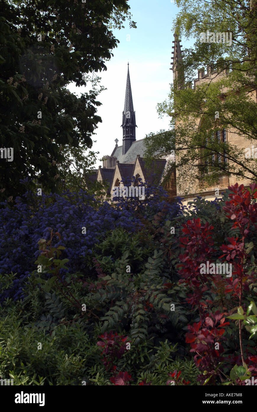 View of Exeter College Chapel Spire from the Masters garden Stock Photo ...