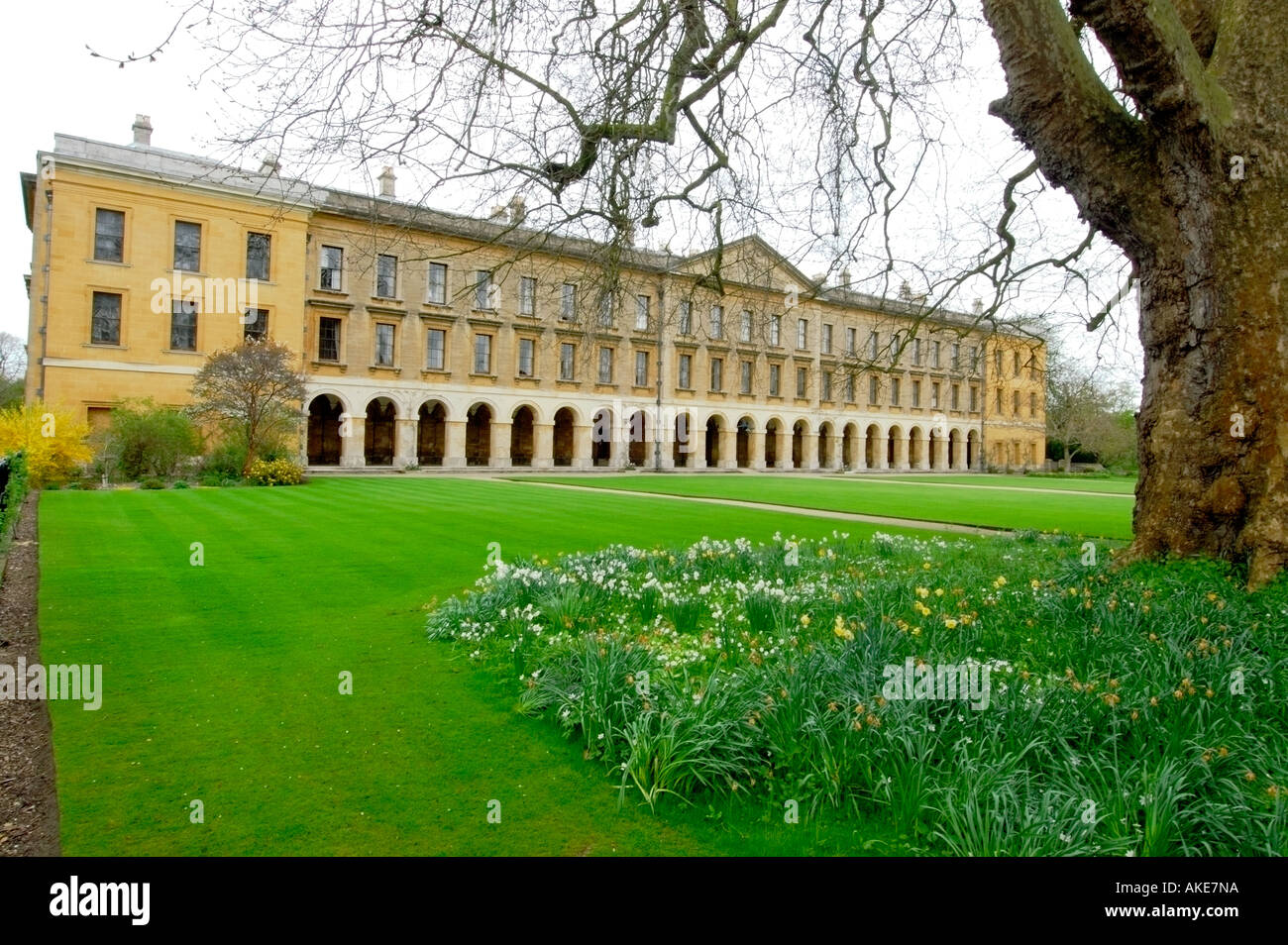 New college buildings hi-res stock photography and images - Alamy