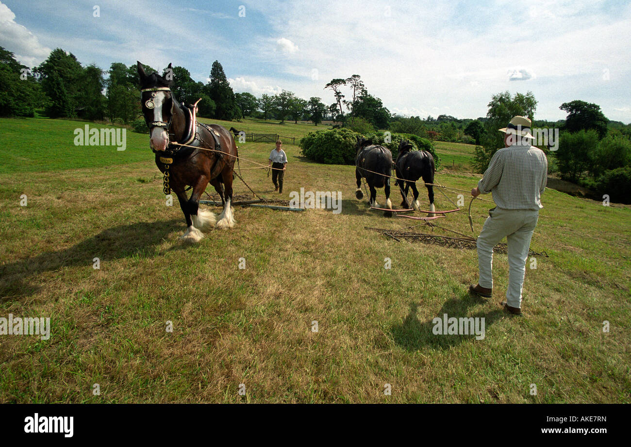 Traditional harrowing hi-res stock photography and images - Alamy