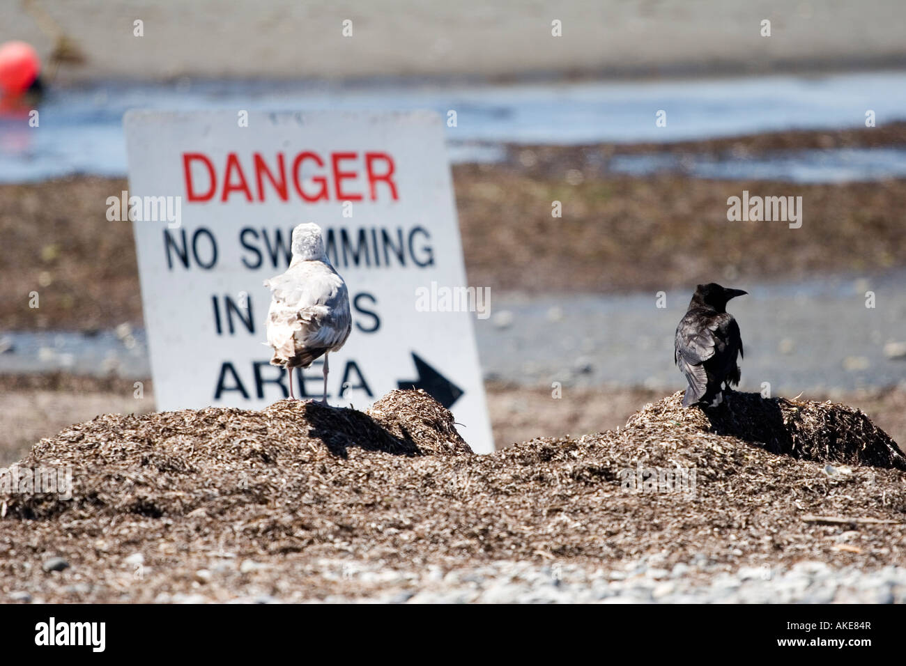 Crow warning sign hi-res stock photography and images - Alamy