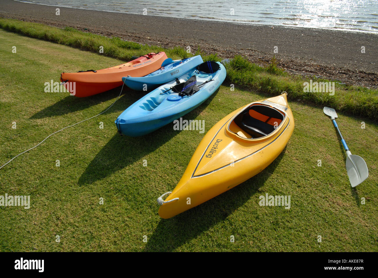 kayaks Bay of Islands New Zealand Stock Photo - Alamy