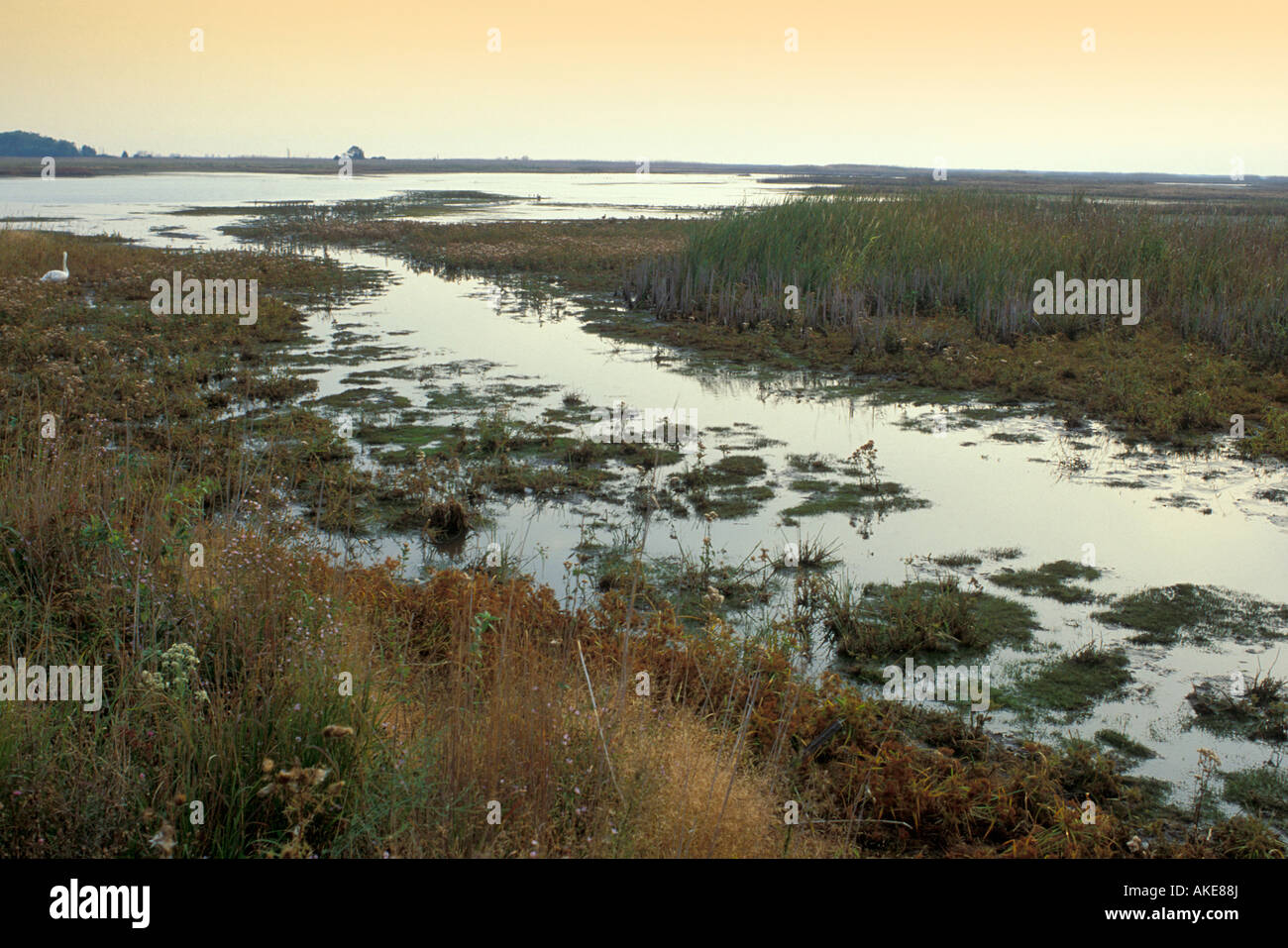 Brigantine hi-res stock photography and images - Alamy