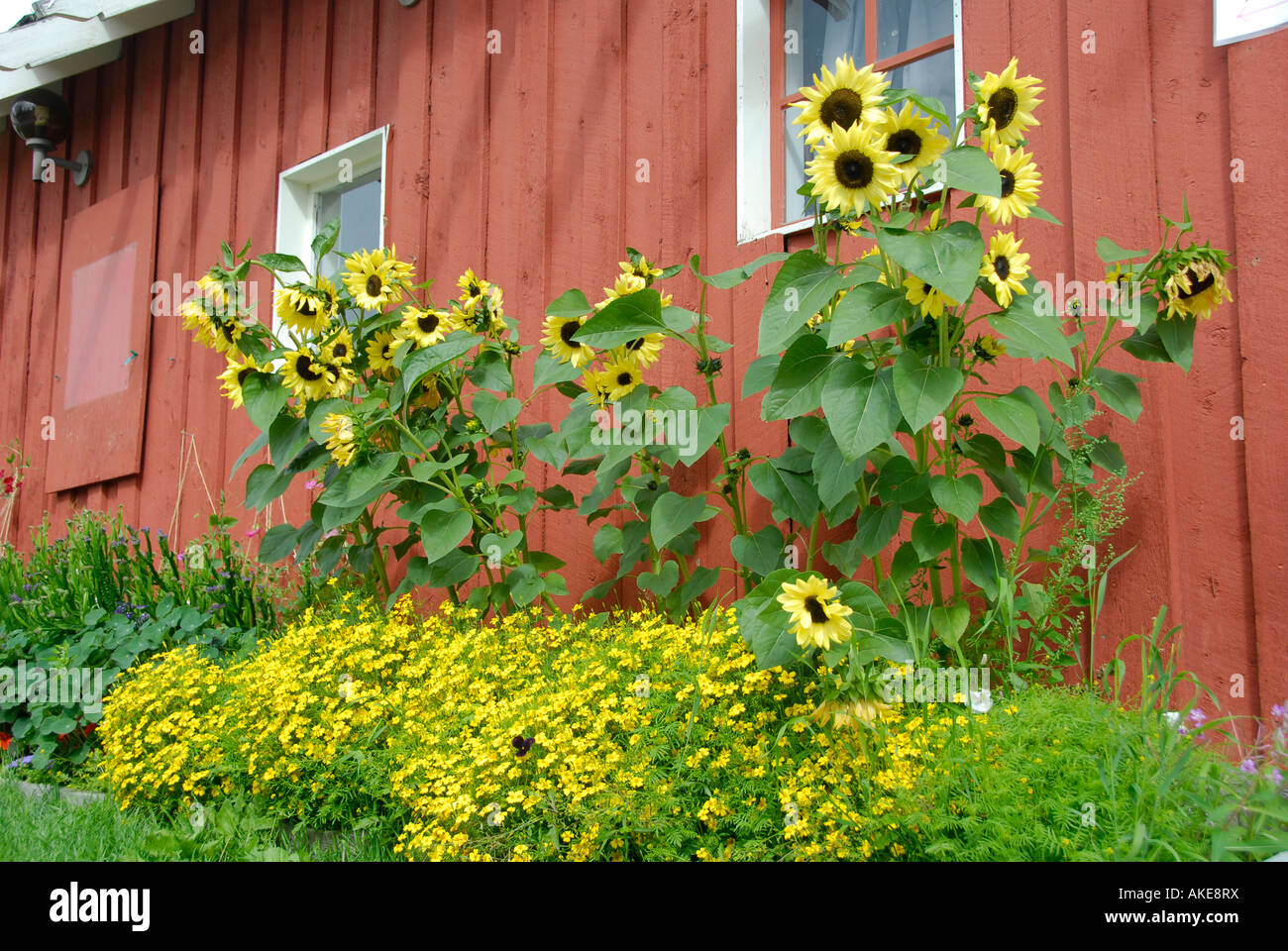 Red Alaska Parks Barn