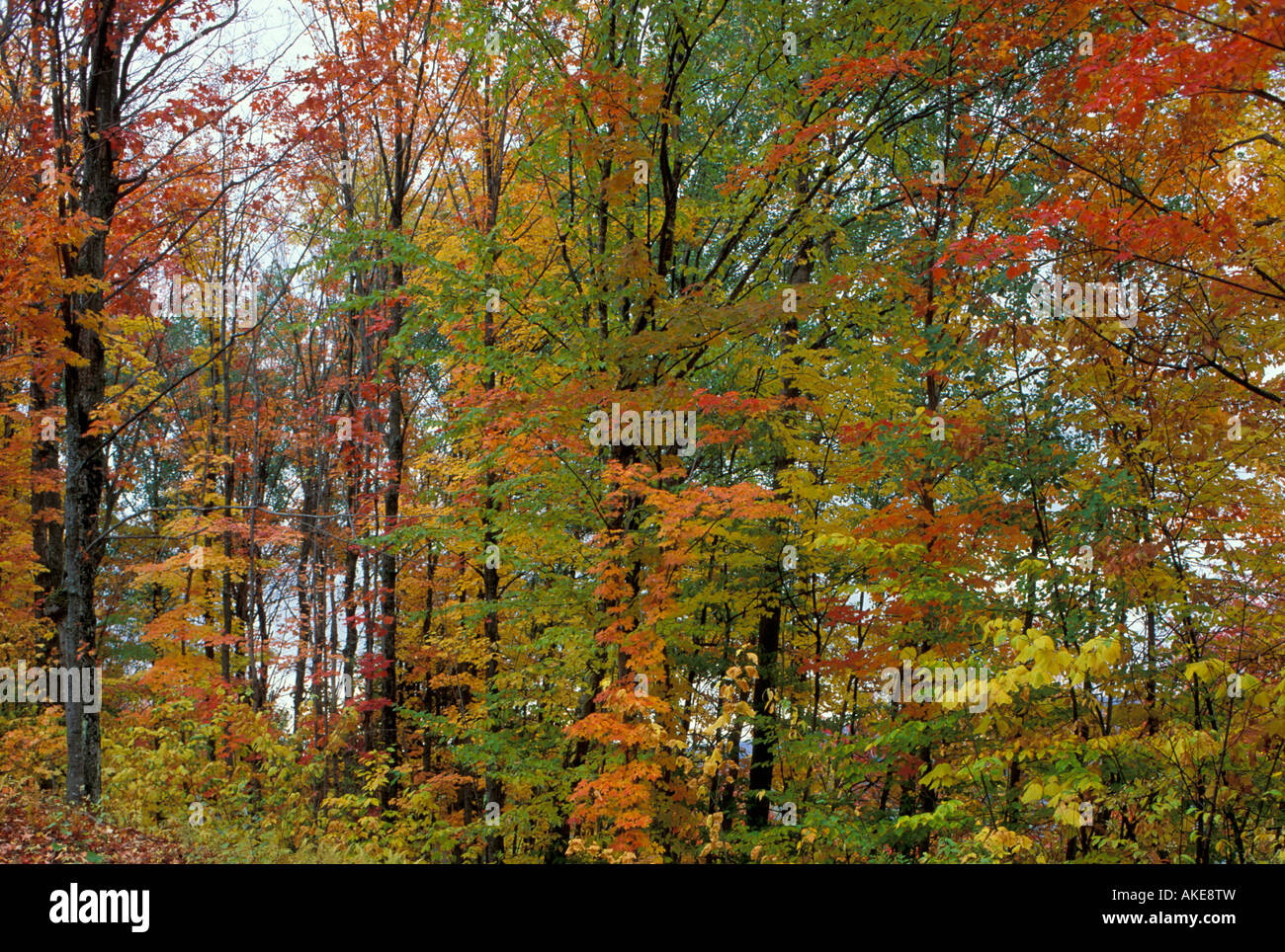 Pittsburg autumn hi-res stock photography and images - Alamy