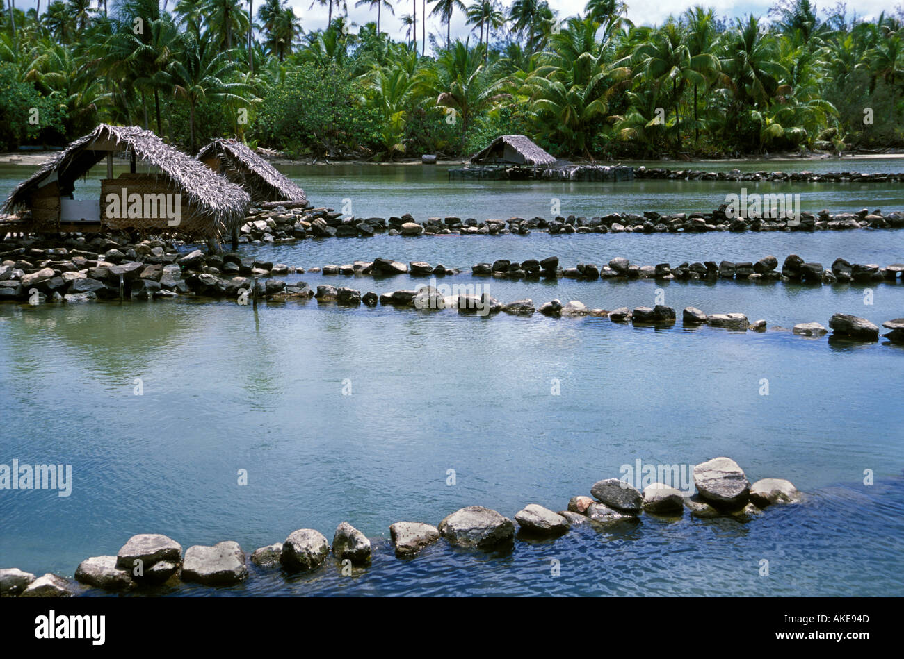 500 years old stone fish traps in shallow water Huahine Stock Photo - Alamy