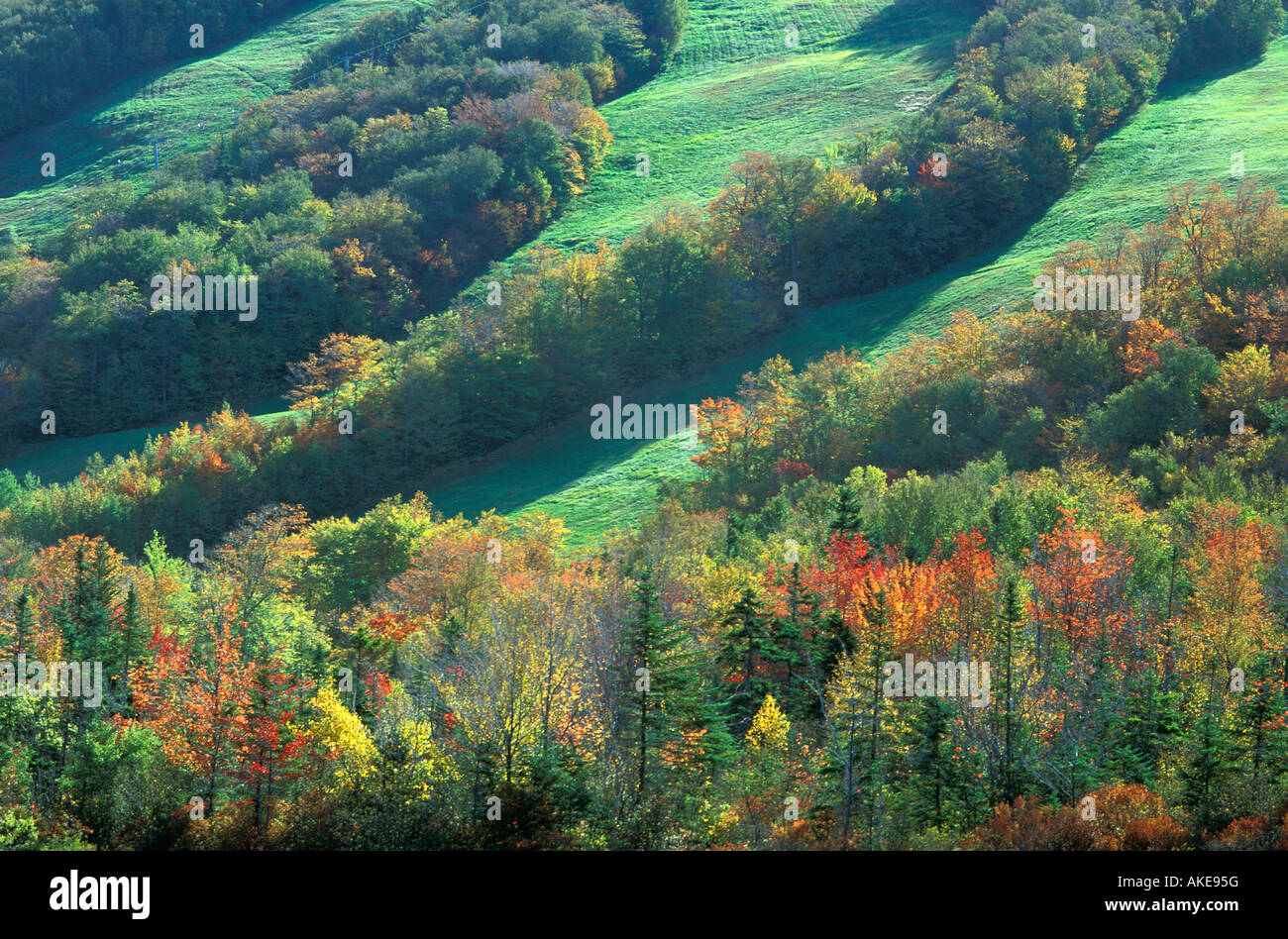 Notch wood hi-res stock photography and images - Alamy