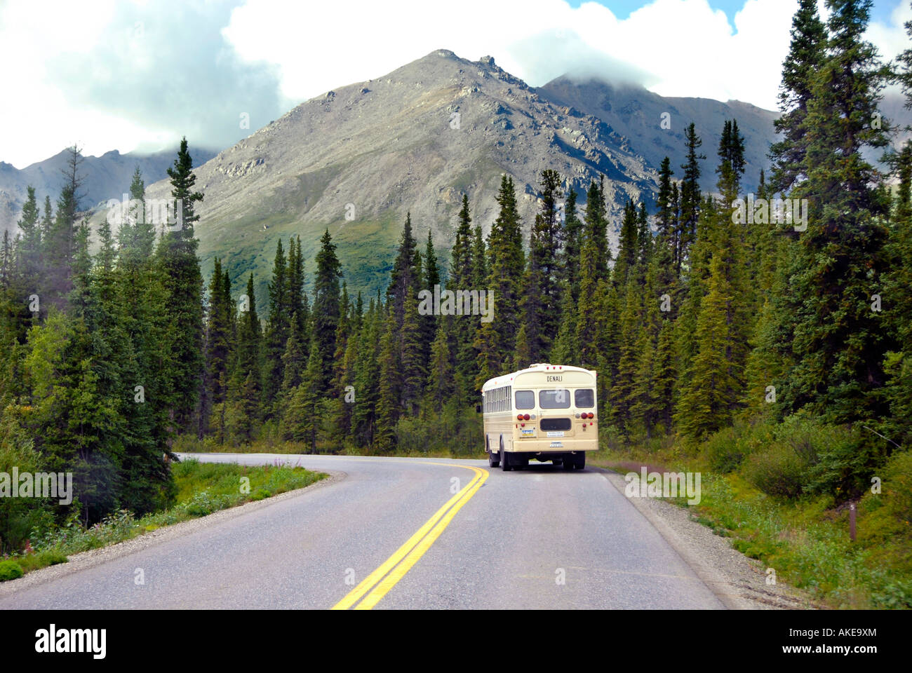 Denali National Park tour bus busses buses along Park Road between ...
