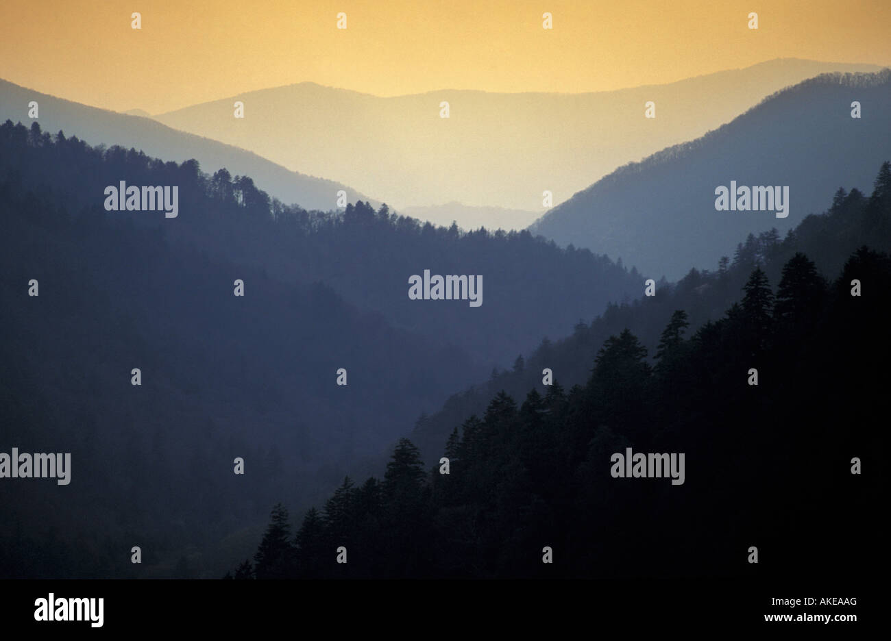 mountain skyline, great smoky mountains national park, usa Stock Photo ...