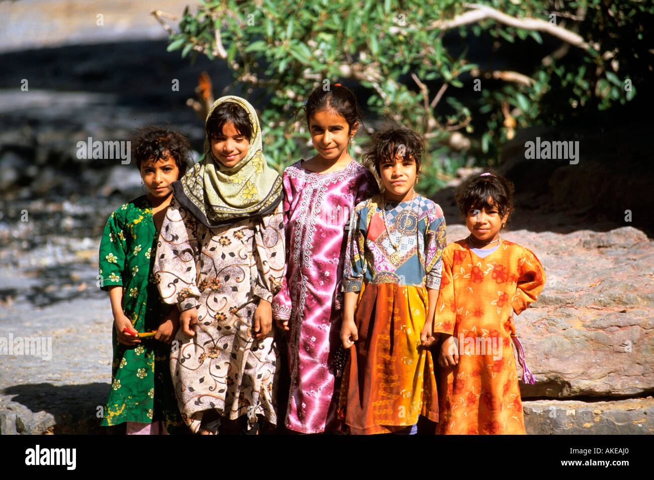 Wadi al nakhar hi-res stock photography and images - Alamy