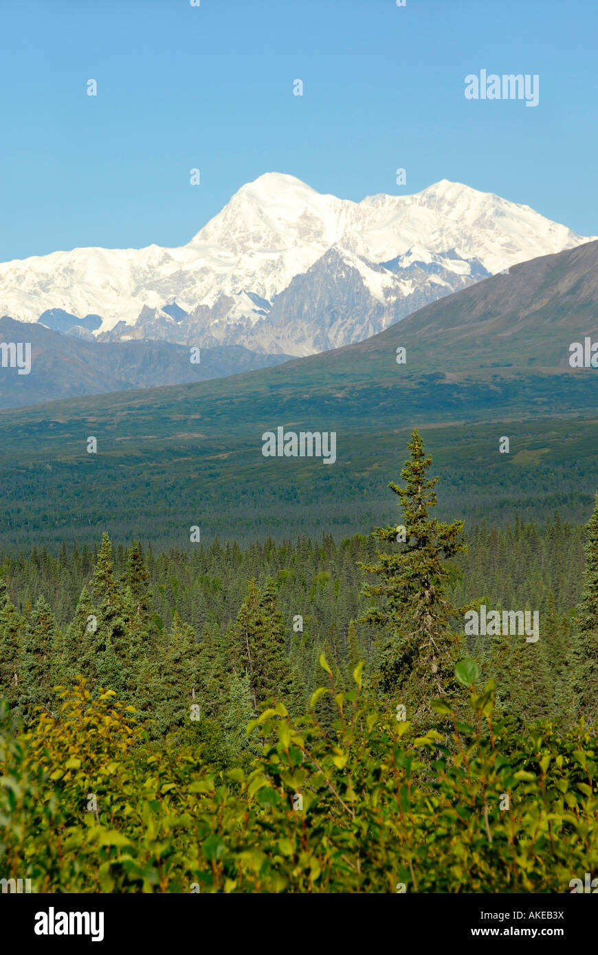 View of Denali Mt McKinley Denali National Park Alaska AK U S United ...