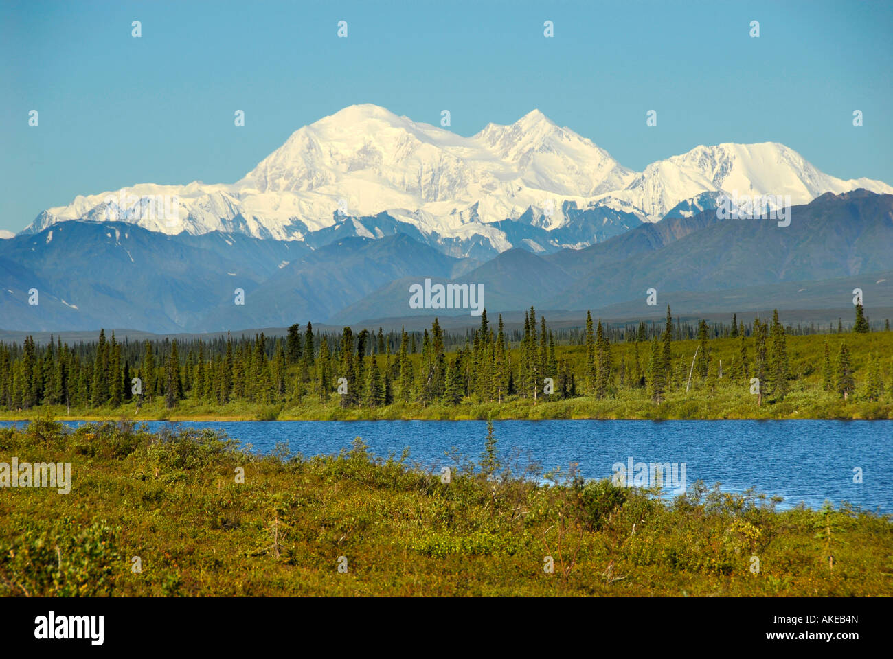 View of Denali Mt McKinley Denali National Park Alaska AK U S United ...